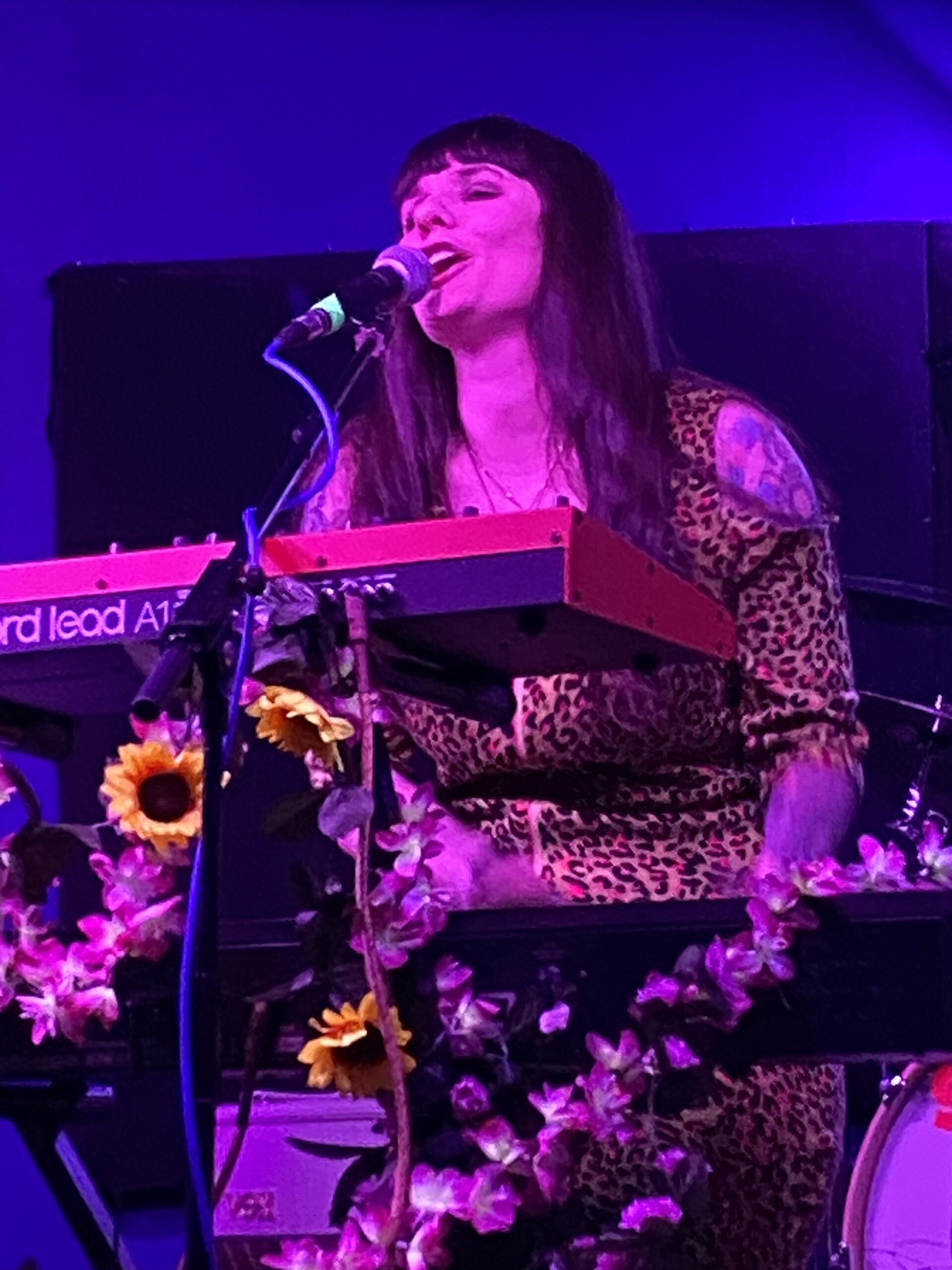 The Carol Hodge Band & Sarah Borges live in The Glad Cafe - The Ginger ...