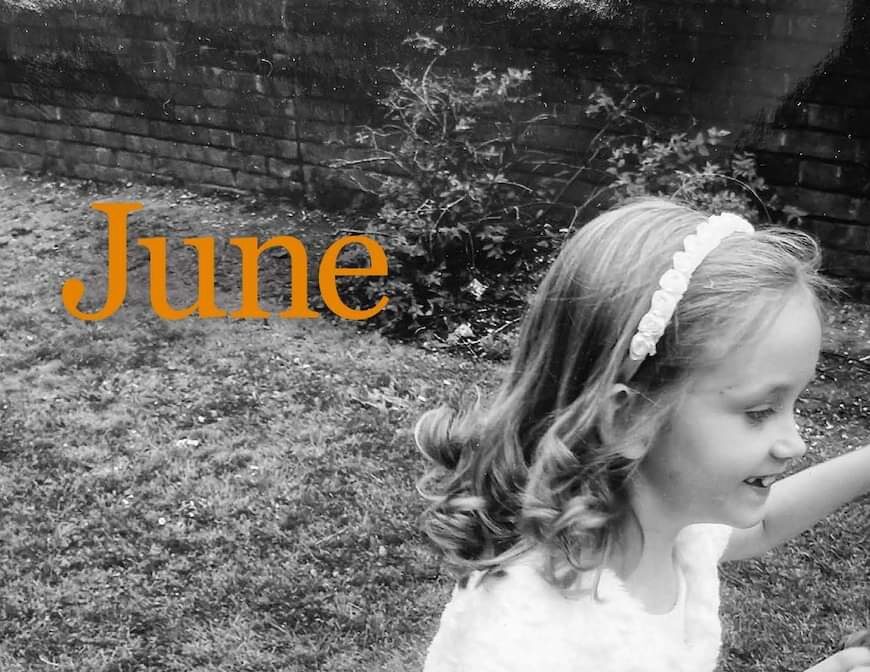 Julie Hamill – June – Book review - The Ginger Quiff